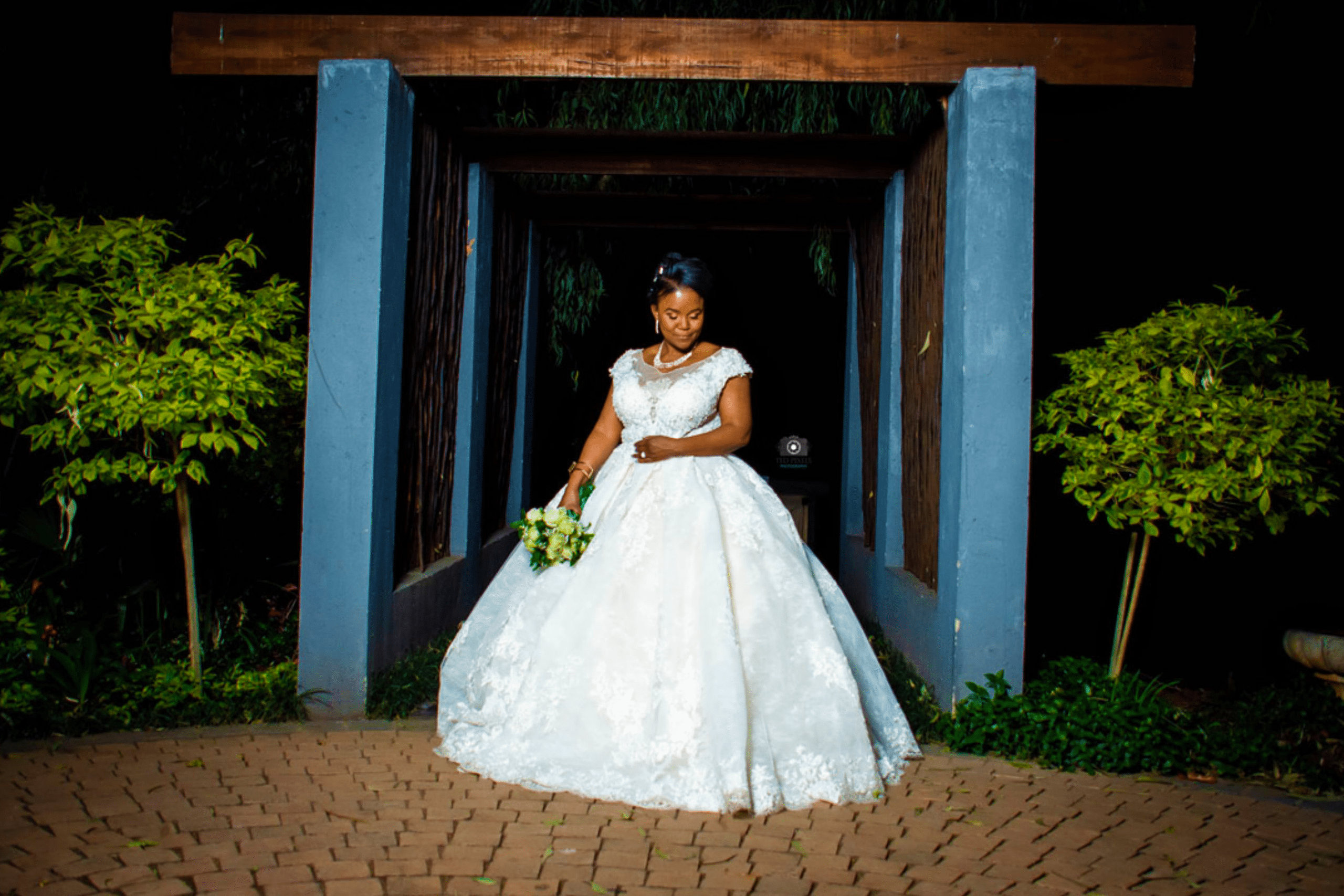 Ted Pixels | Professional Photographer In Johannesburg, South Africa - Weddings, Parties, Baby ...